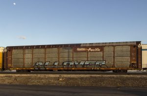 What are the Types of Freight Cars? | Worldwide Rails
